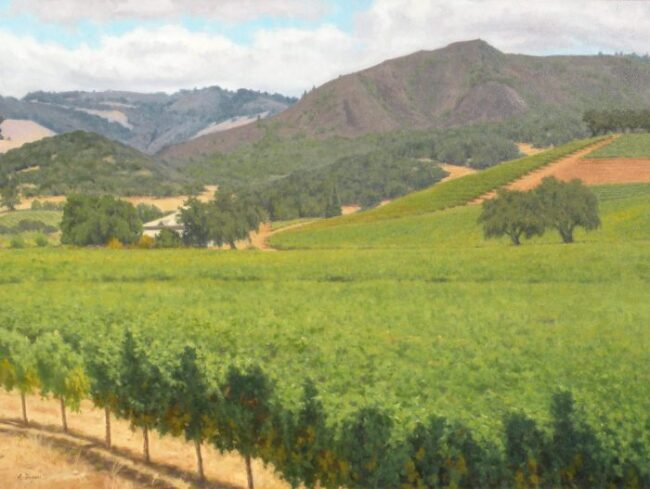 Allen Figone - Alexander Valley